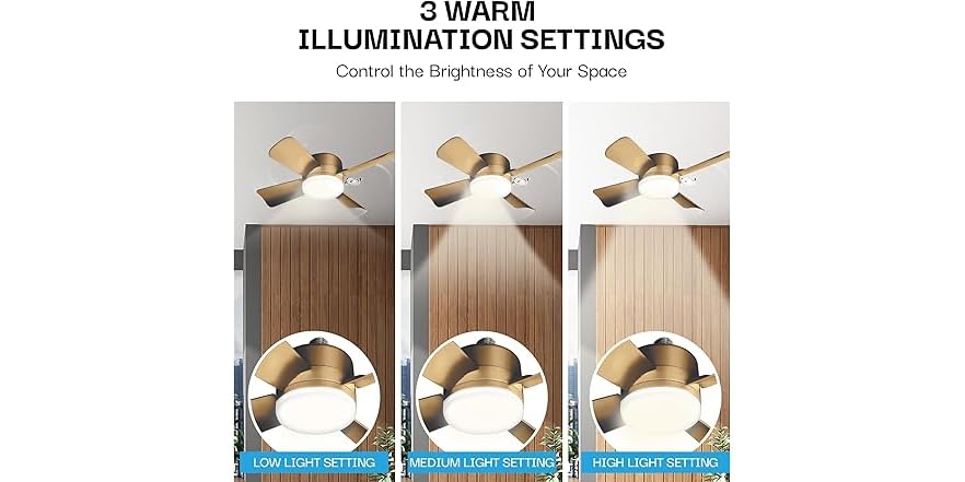Socket Fan Light Original – Warm Light C