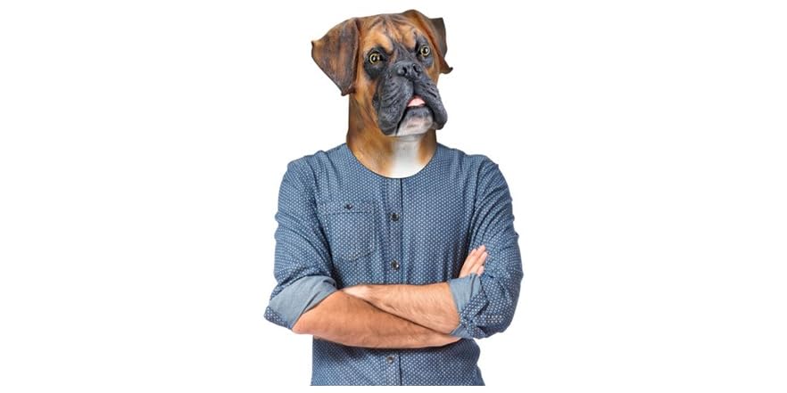 Barry The Boxer Mask