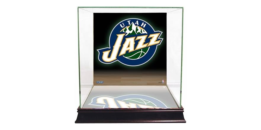 NBA Glass Basketball Display Case