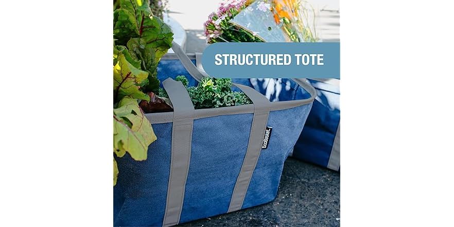 CleverMade Collapsible EcoBasket Tote - 30L BL/GR