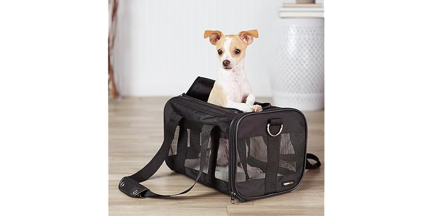Amazon Basics Soft-Sided Mesh Pet Carrier
