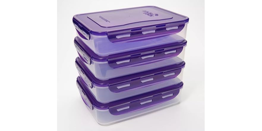 LocknLock Set of (4) Rectangle Storage Set
