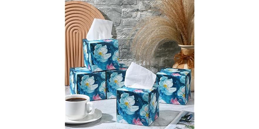 12 Pack 2 Ply Facial Tissues Boxes