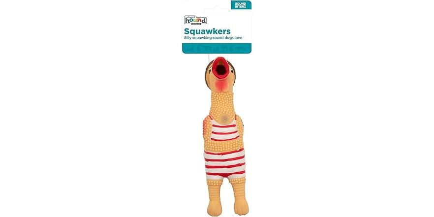 Outward Hound Squawkers Chicken Toy