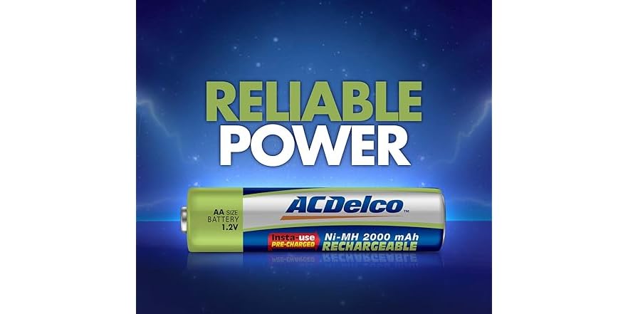 ACDelco Fast Battery Charger Kit