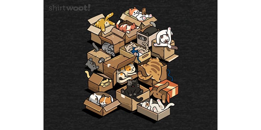 Cardboard Cats