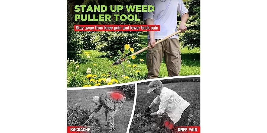 WORKPRO Weed Puller Tool Pick Color