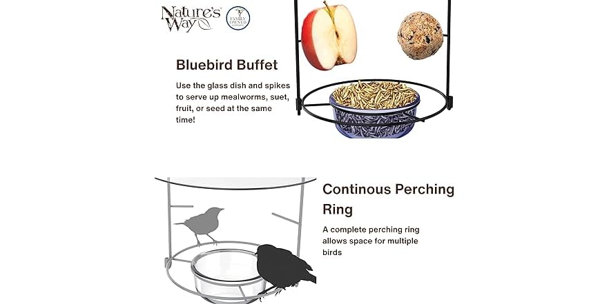Nature's Way BBFM1 Bluebird Buffet Metal Bird Feeder