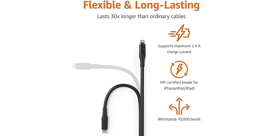 AmazonBasics 10FT Lightning to USB-C Cable