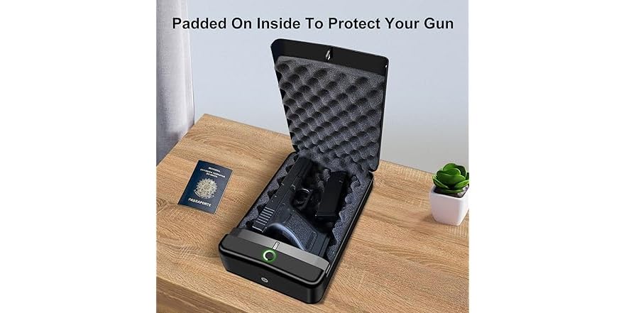 HOLEWOR Compact Biometric Gun Safe