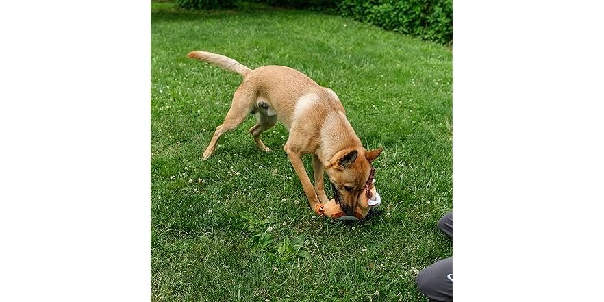 Pronk! Springbok Antelope Dog Toy