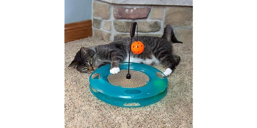 Kitty City Swat Track Cat Toy