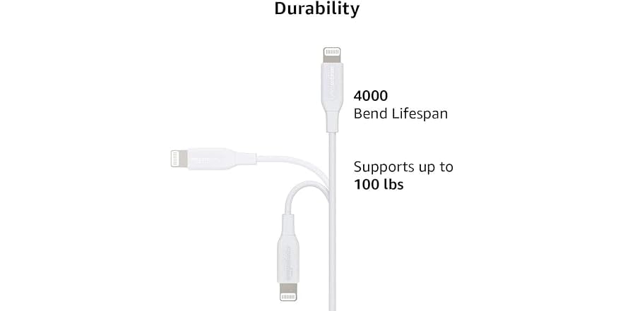 Amazon Basics USB-C to Lightning Cable