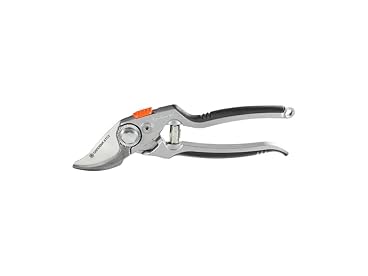 Hand Pruner With Angled Cutting Head
