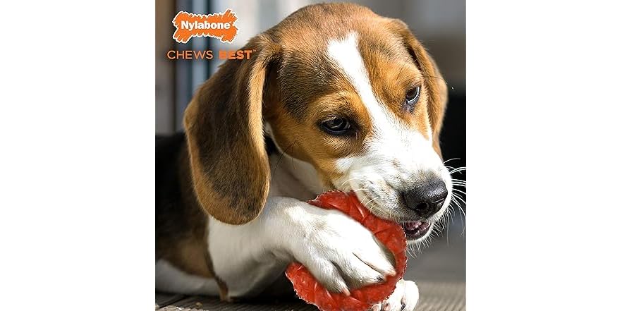 Nylabone Nylabone Braided Ring Strong Chew Toy