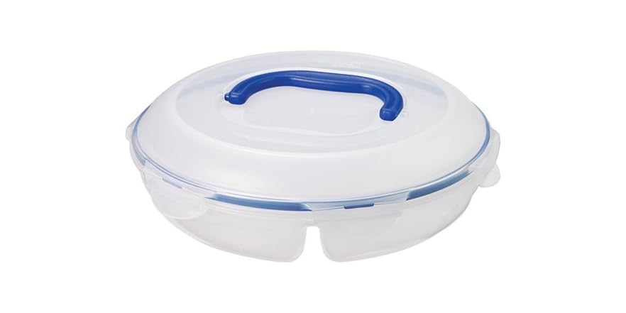 Appetizer/Dessert Container with Handle