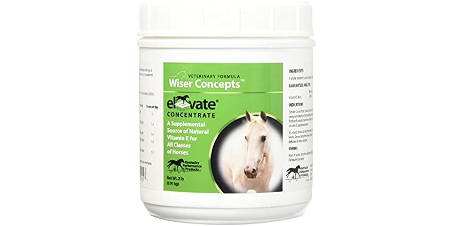 Elevate Concentrate Supplement