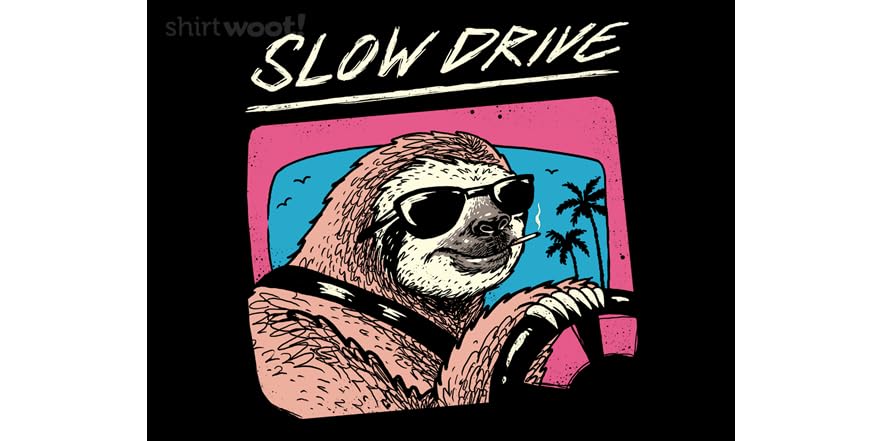 Slow Driver