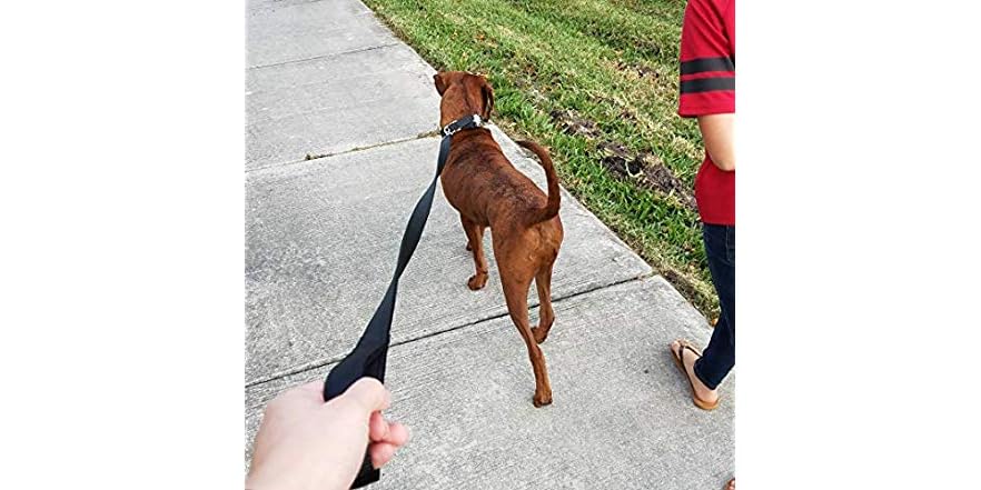 Dutchy Brand Pets Lovers Club Dog Leash