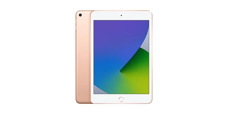 Apple 7.9" iPad Mini 5 (2019) (S&D) (Open Box)