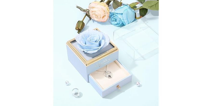 WILDLOVE Preserved Real Light Blue Rose