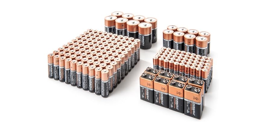 AA/AAA/C/D/9V Alkaline Batteries - 174 Super Fun Pack