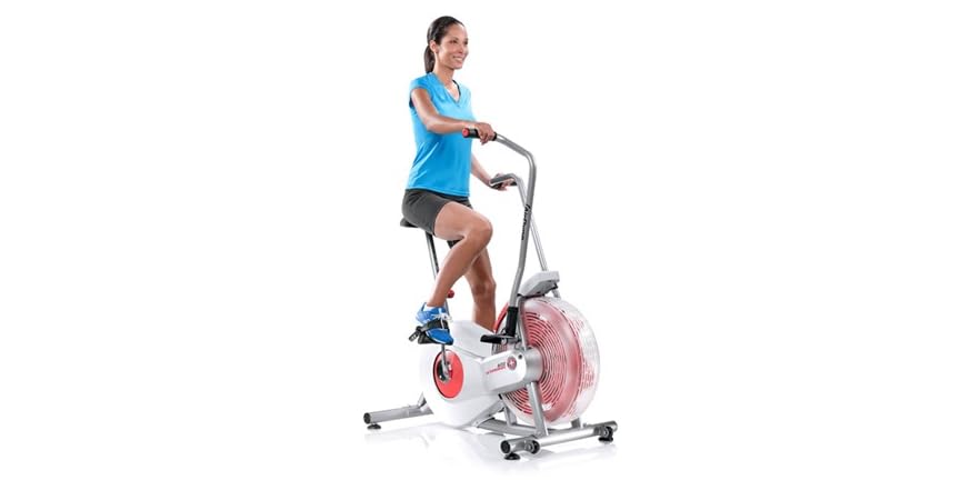 Schwinn Airdyne Upright Stationary Bike
