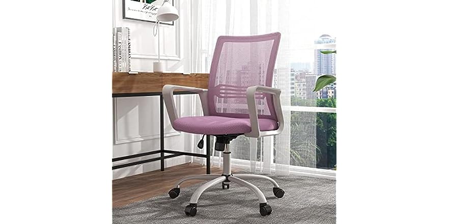 Ergonomic Office Chair w Armrests
