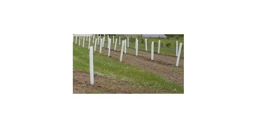 60" Miracle Tree Tube (50)