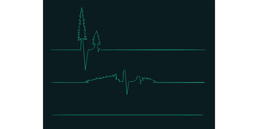 Earth's Heart Monitor