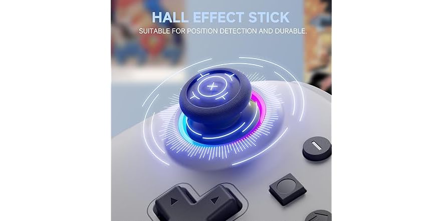 ECHTPower Controller for Switch Lite OLED