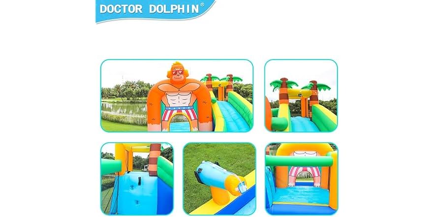 Doctor Dolphin Inflatable Water Slide
