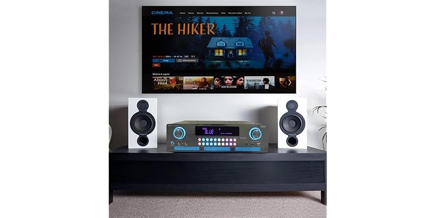 Technical Pro Dual-Channel Pro Amplifier 3000W