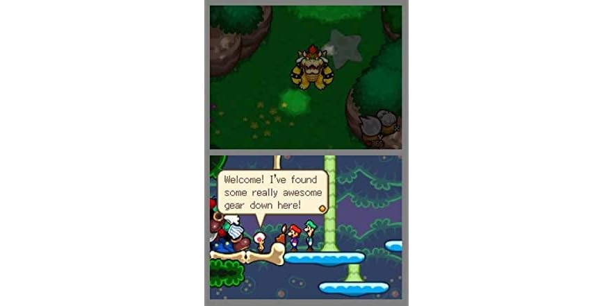Mario & Luigi Bowser's Inside Story