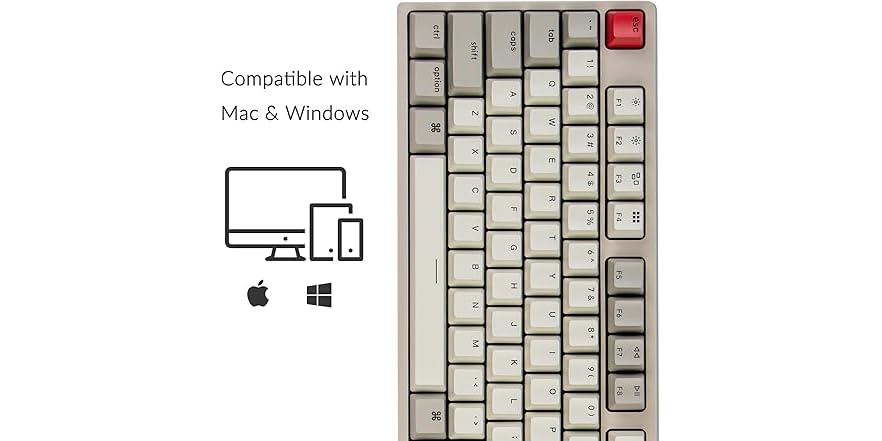 Keychron C2 Full Size Wired Mechanical Keyboard
