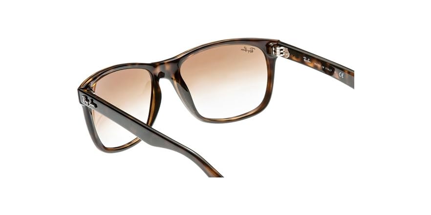 Ray-Ban Unisex 4181 Sunglasses