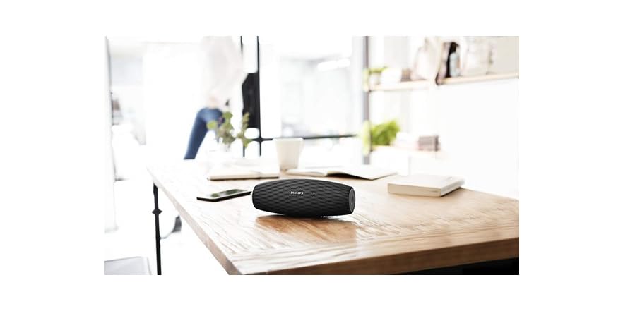 Philips EverPlay Wireless Speaker BT7900B/37