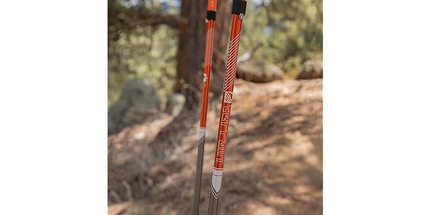 Terrain™ Alpha Aluminum Trekking Poles