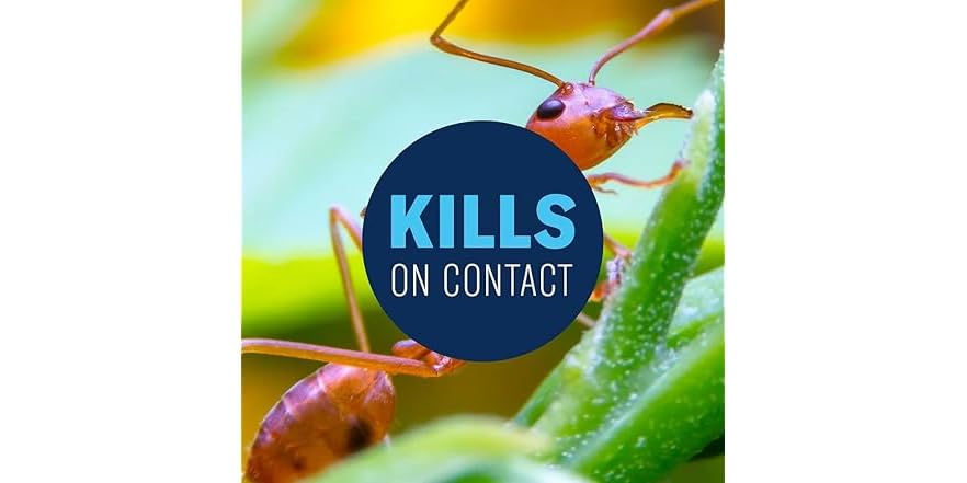 BioAdvanced 24 Hour Lawn Insect & Fire Ant Killer