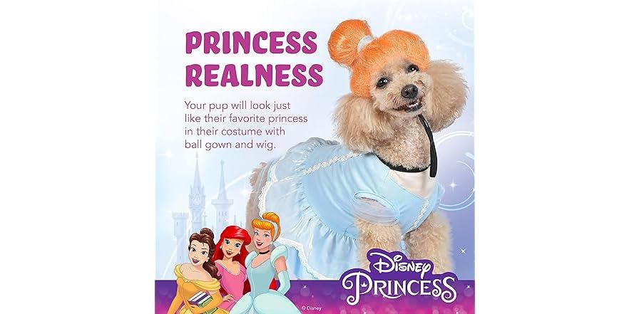 Disney for Pets Costume: Cinderella