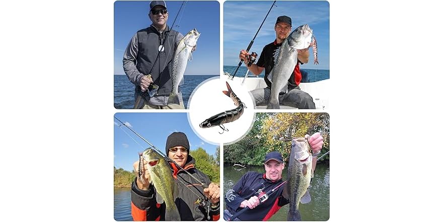 6 Pack Fishing Lures for Bass