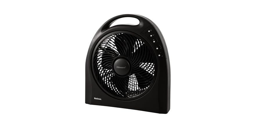 Holmes 12 inch Remote Blizzard Power