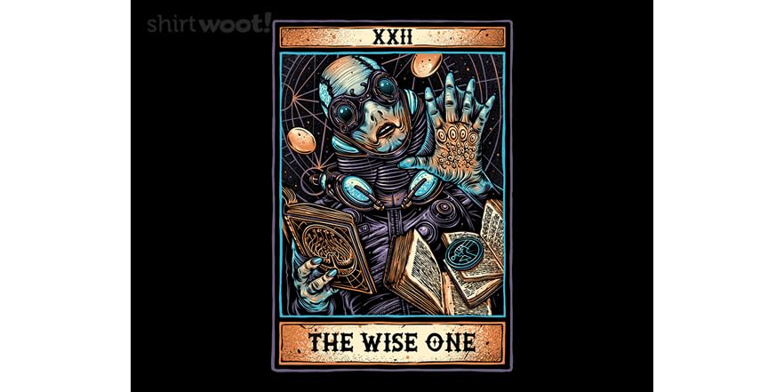 The Wise One Tarot Card