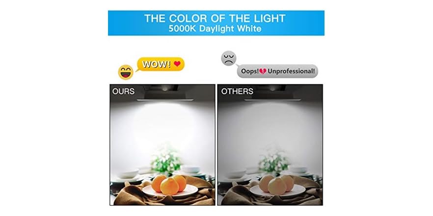 SGL Recessed Light, 12 Pack