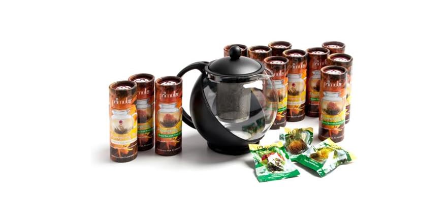 Primula 40oz Glass Teapot with 39 Flowering Teas