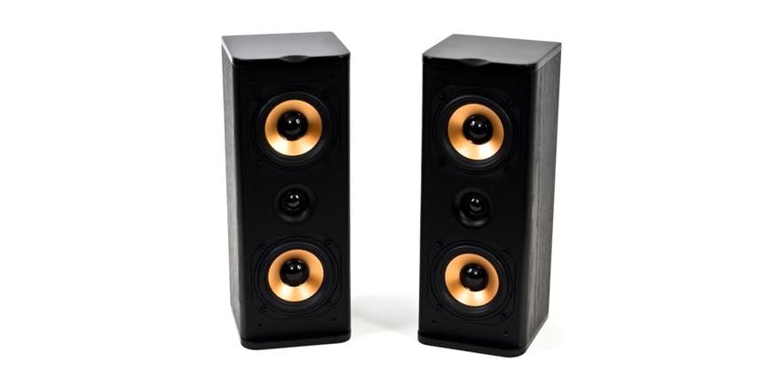 Premier Acoustics PA-4.2 2-Way Speaker – Pair