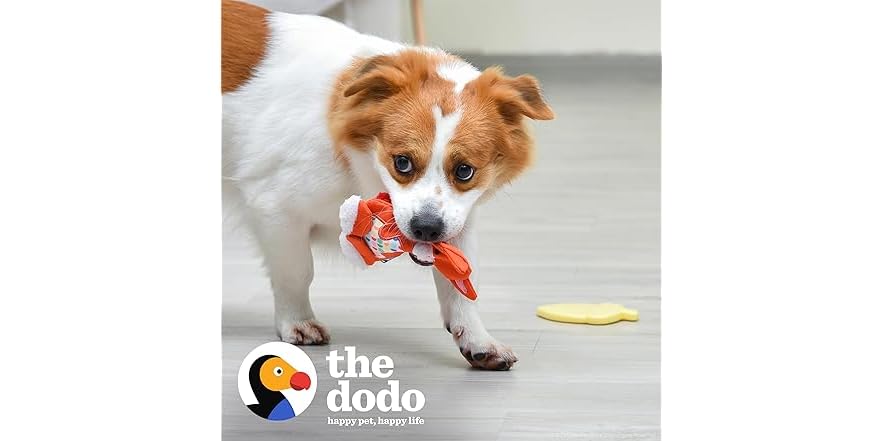 The Dodo Woodland Animal Dog Toy 2pc Set