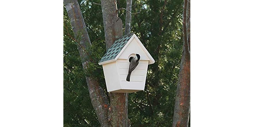 Classic Cottage Bird House