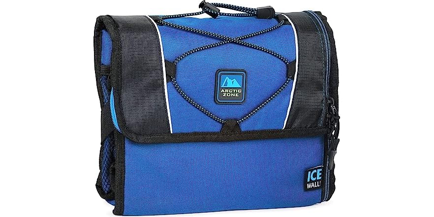 Arctic Zone Insulated Cooler Holds 12 Cans