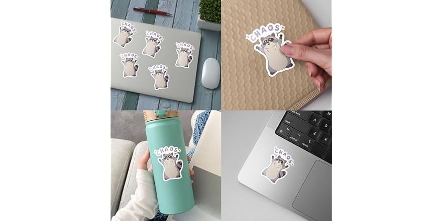 3pc Raccoon Chaos Sticker Meme